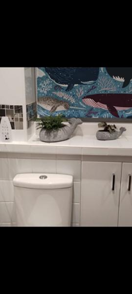 Giles Christmas Cards, Pack of 8 2025 | RNLI Shop Reviews | RNLI Shop ...