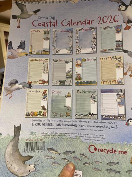 Giles Christmas Cards, Pack of 8 2025 | RNLI Shop Reviews | RNLI Shop ...