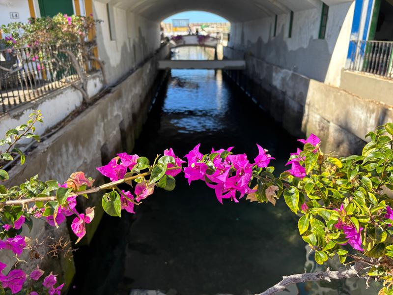 Your tour in Madeira - Pearl of the Atlantic Landscapes Reviews ...