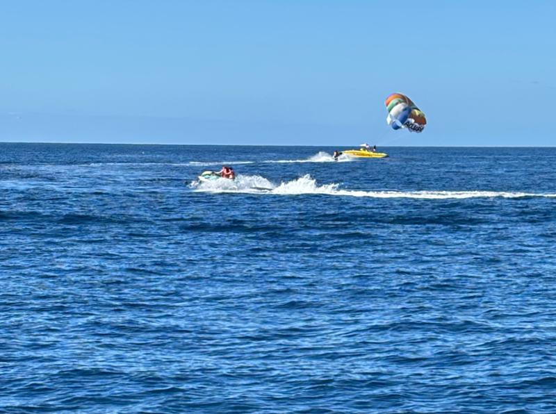 Your tour in Madeira - Pearl of the Atlantic Landscapes Reviews ...