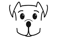 Pooch & Mutt | Grain Free Dog Food & Healthy Dog Treats